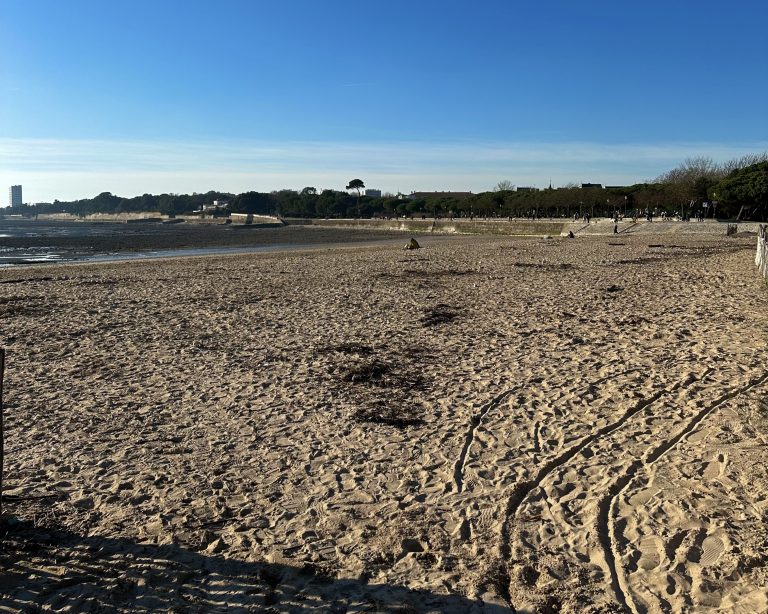 Les plages incontournables de La Rochelle et de ses environs - Le Blog ...